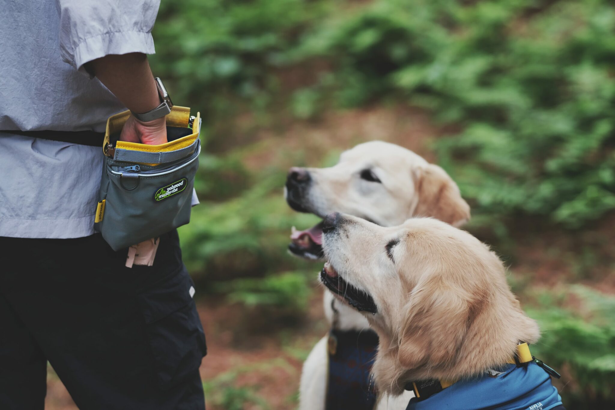 Boondog Mania - 분독 온라인 공식 홈페이지
